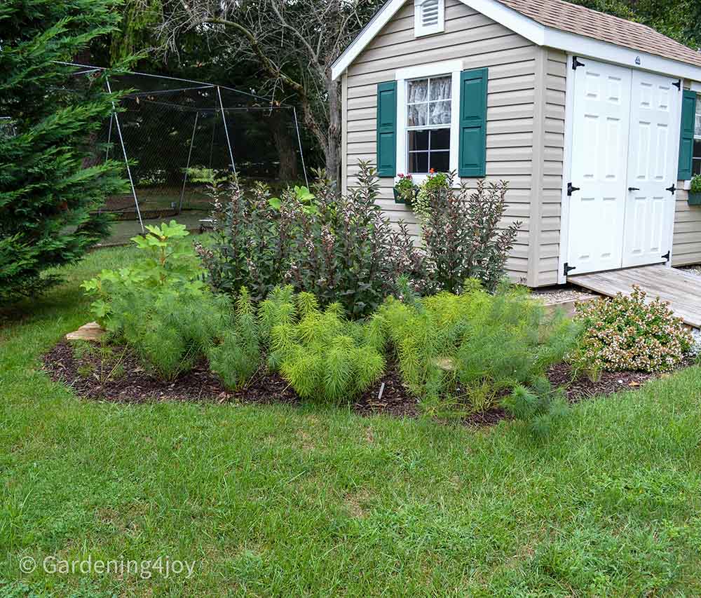 Brilliant method to create new garden beds: Lasagna Gardening ...